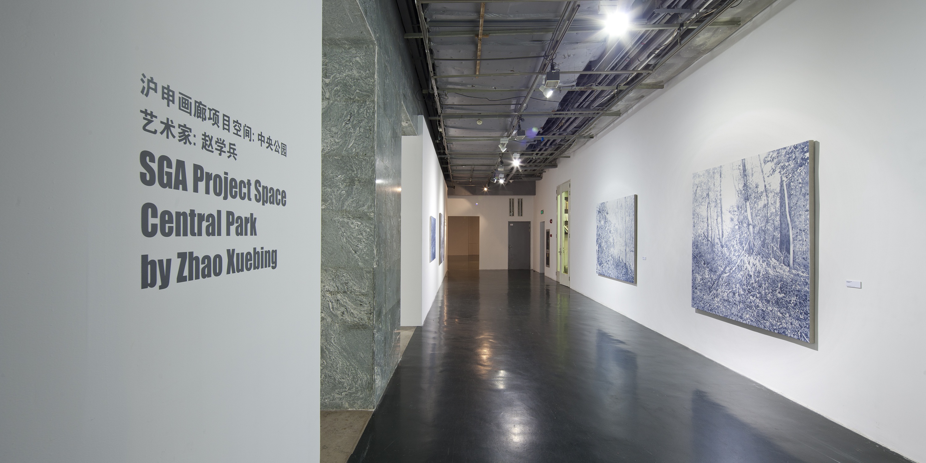 “Central Park”, Shanghai Gallery of Art Project Space Solo Show – 赵学兵 ...