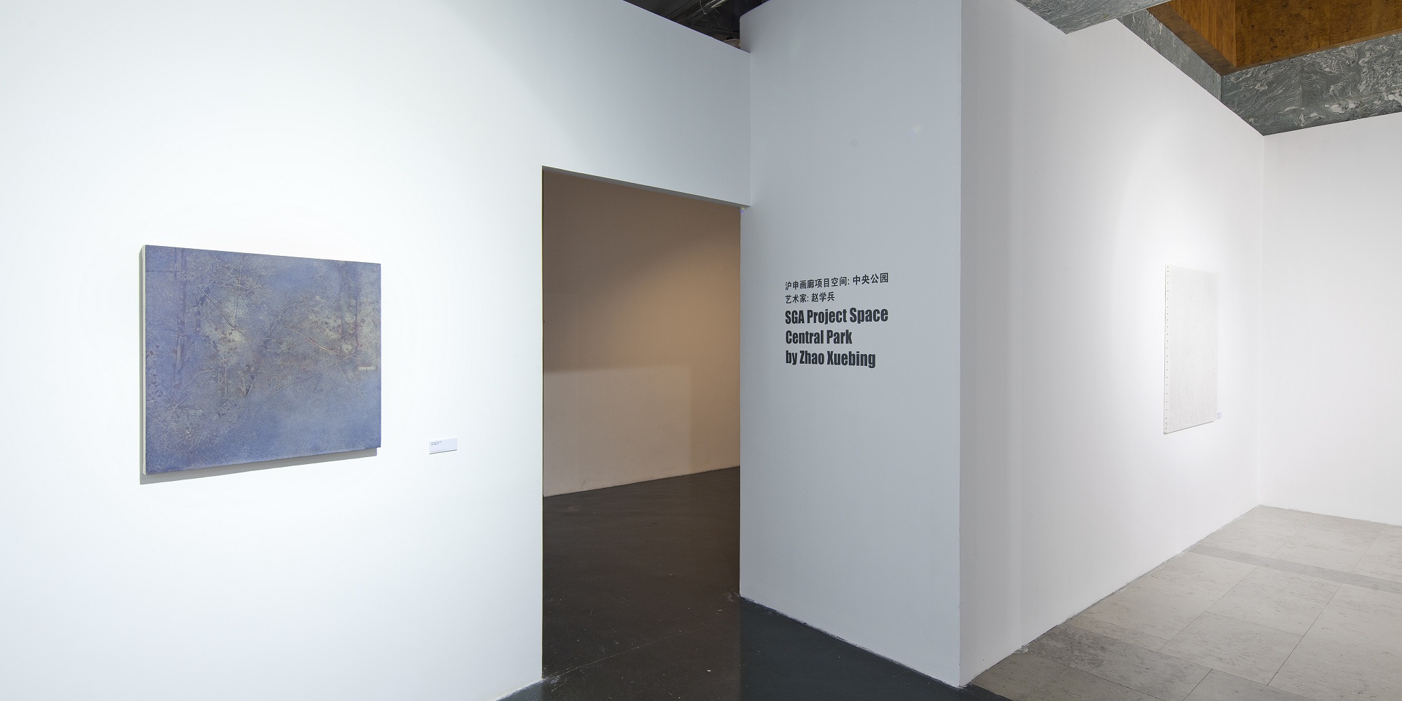 “Central Park”, Shanghai Gallery of Art Project Space Solo Show – 赵学兵 ...